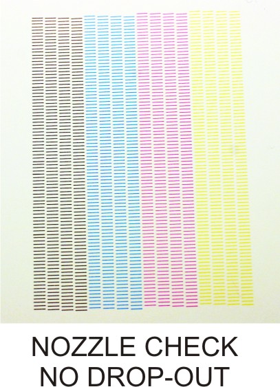 Roland print and cut - eurolasopa